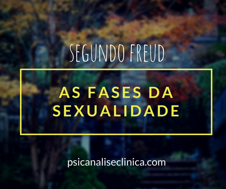Fases da sexualidade na teoria de Freud - Psicanálise Clínica