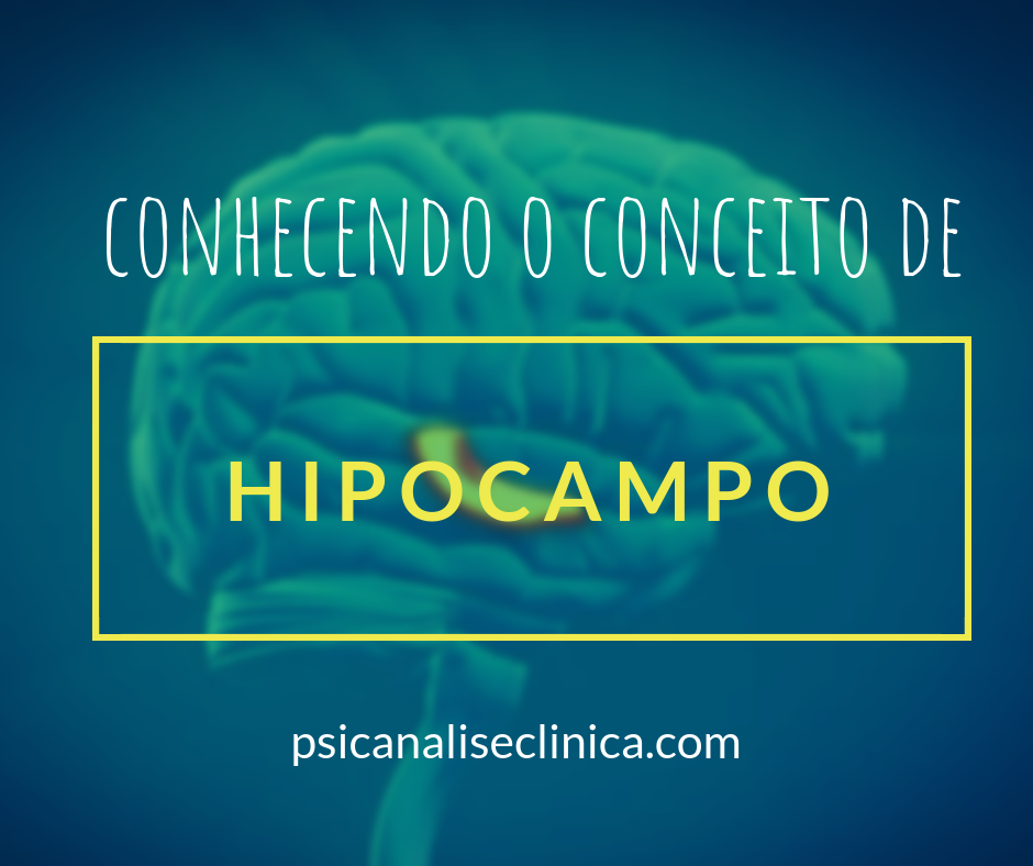 Hipocampo: conceito e papel da glândula - Psicanálise Clínica