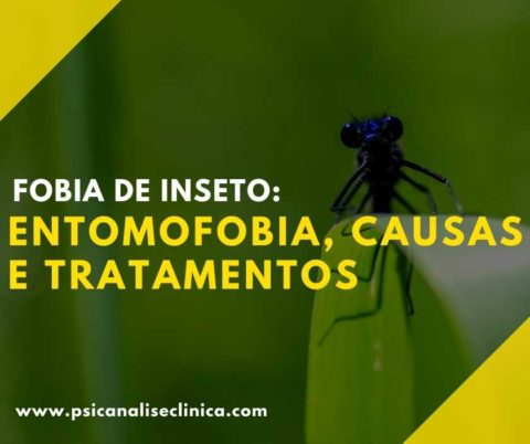 Fobia de Inseto: Entomofobia, causas e tratamentos - Psicanálise Clínica