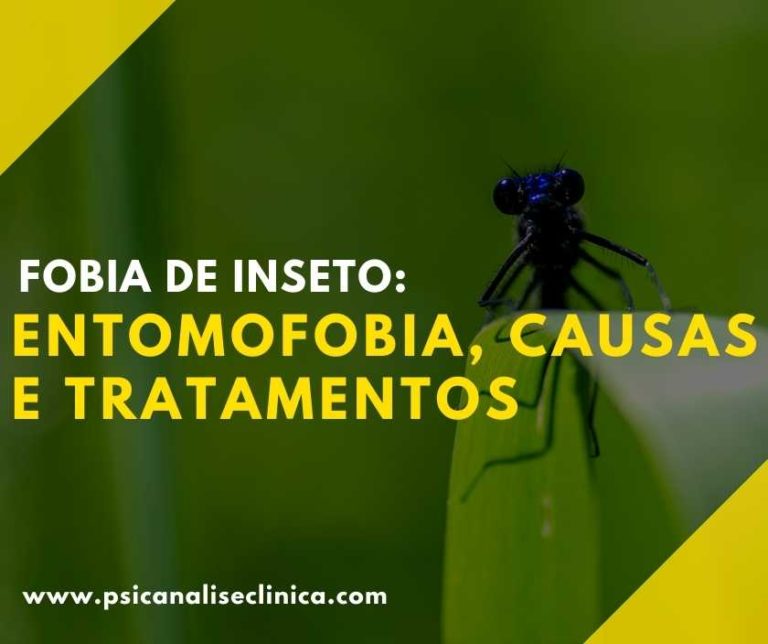 Fobia de Inseto: Entomofobia, causas e tratamentos - Psicanálise Clínica