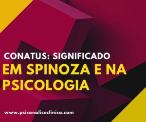 Conatus: significado em Spinoza e na psicologia - Psicanálise Clínica
