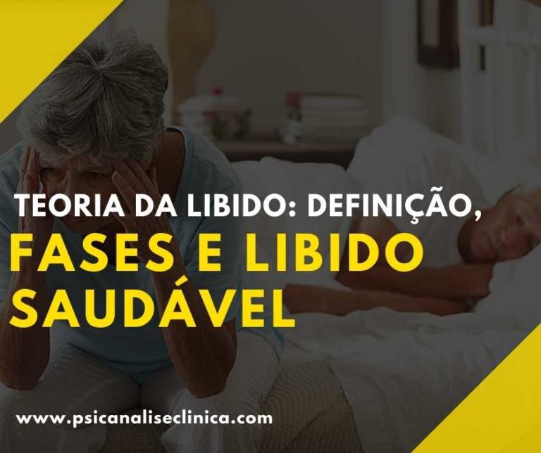 Teoria da Libido: definição, fases e libido saudável - Psicanálise Clínica