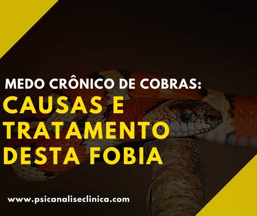 Medo crônico de cobras: causas e tratamento desta fobia - Psicanálise ...