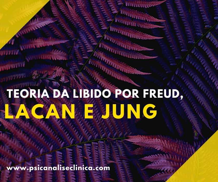 Teoria da Libido por Freud, Lacan e Jung - Psicanálise Clínica