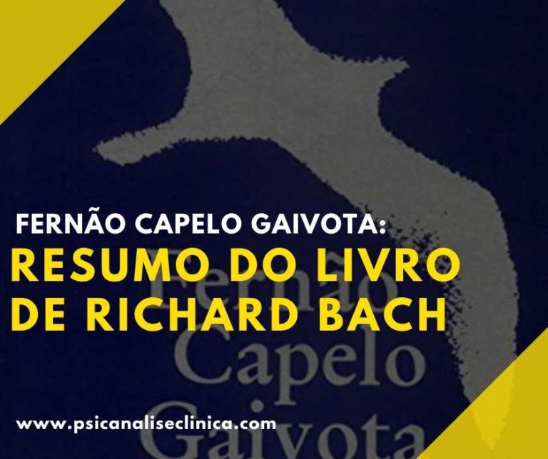 Fernão Capelo Gaivota: resumo do livro de Richard Bach - Psicanálise ...
