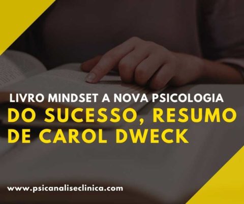 Livro Mindset A Nova Psicologia do Sucesso, resumo de Carol Dweck - Psicanálise Clínica
