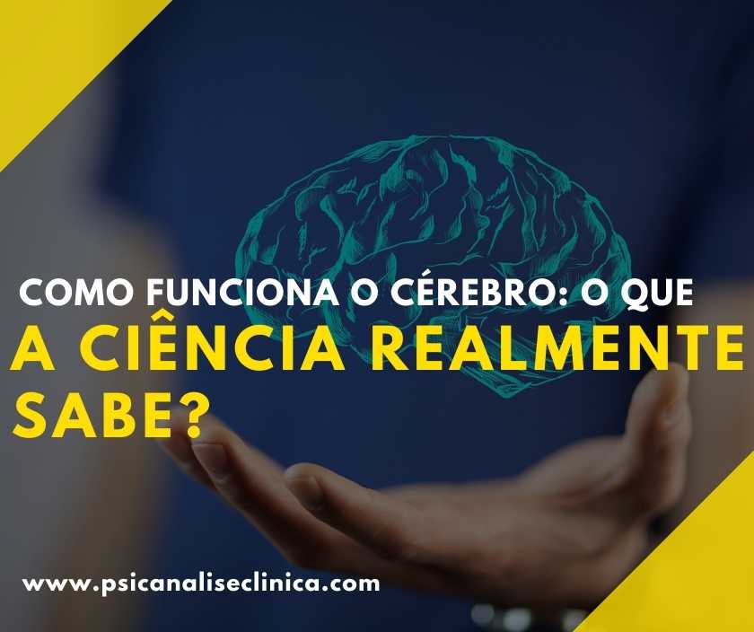 Como funciona o cérebro: o que a ciência realmente sabe? - Psicanálise ...