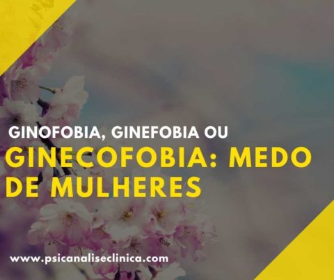 Ginofobia, ginefobia ou ginecofobia: medo de mulheres - Psicanálise Clínica