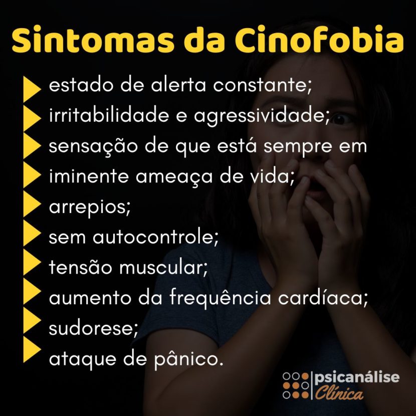 Cinofobia ou Medo de Cachorro: causas, sintomas e tratamento ...