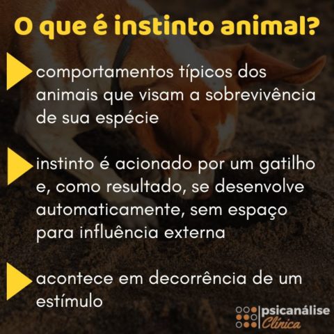Instinto Animal: o que é, como funciona - Psicanálise Clínica
