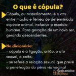 Cópula: conceito, significado e sinônimos - Psicanálise Clínica