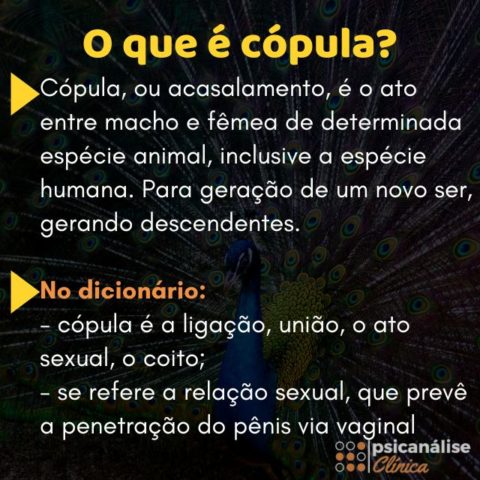 Cópula: conceito, significado e sinônimos - Psicanálise Clínica