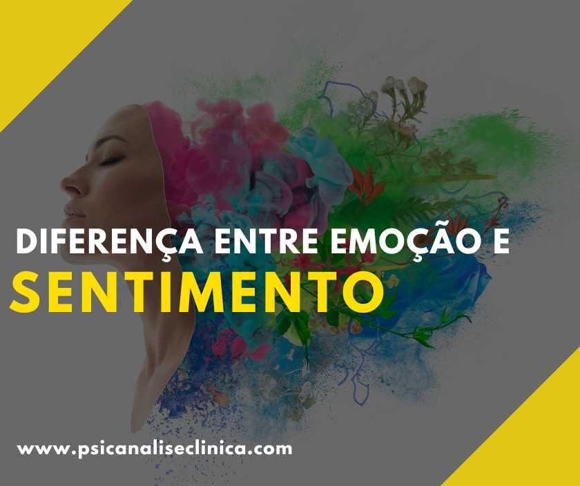 Diferença Entre Emoção E Sentimento Psicanálise Clínica